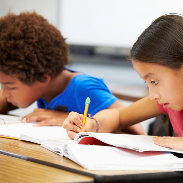 DataWorks Workshops in Australia for Effective Lesson Design and Delivery