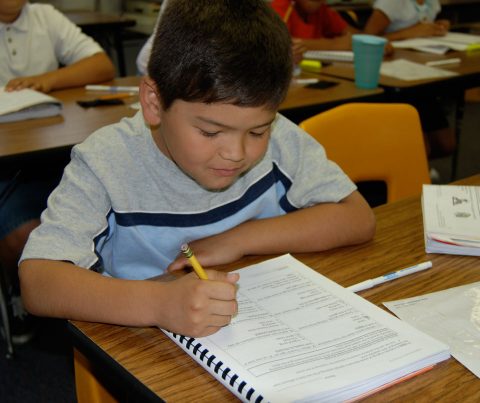 Elevate Your Team: DataWORKS Professional Development Consultants